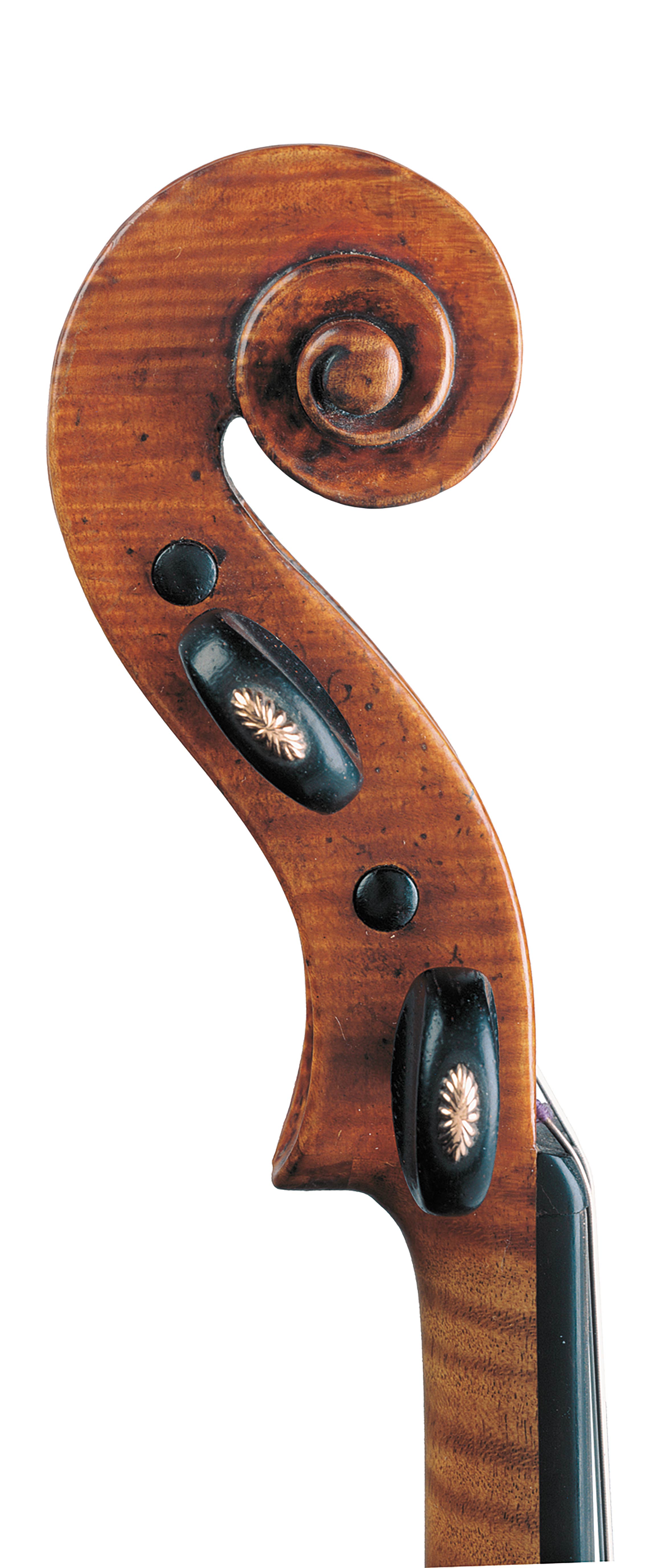 Camillo Camilli Violin, 1725 | Fine Violins | Ingles & Hayday