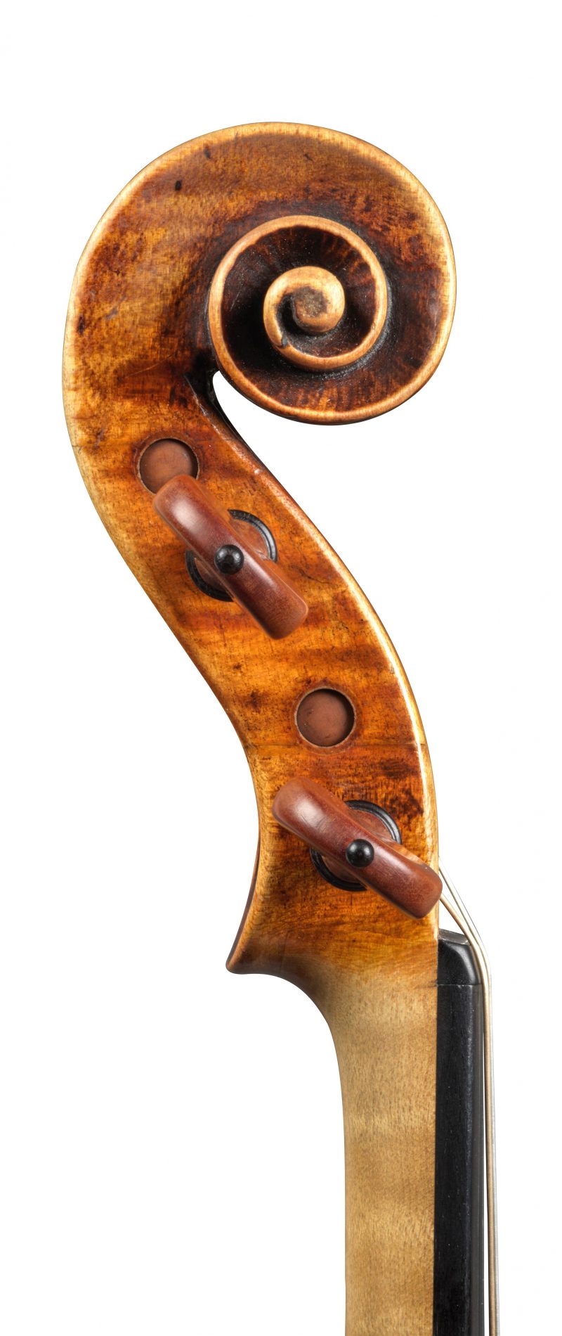 Discover Pietro Guarneri of Venice | Ingles & Hayday