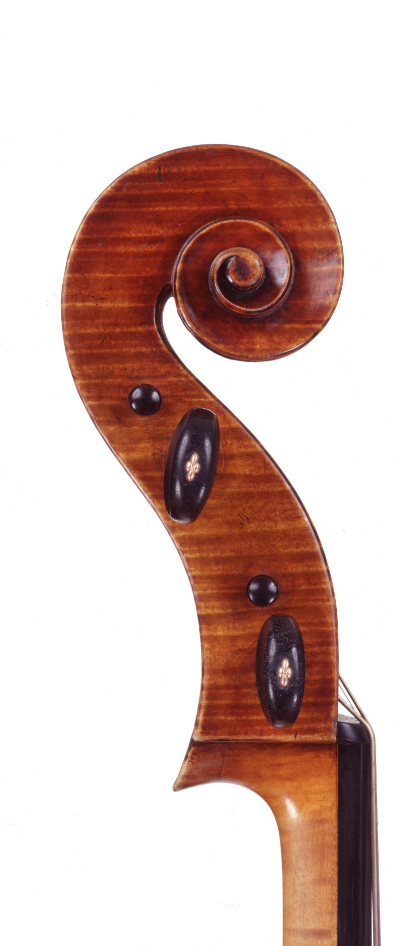 A Cello By Antonio Stradivari Four Centuries Gallery Ingles Hayday A Cello By Antonio Stradivari Four Centuries Gallery Ingles Hayday