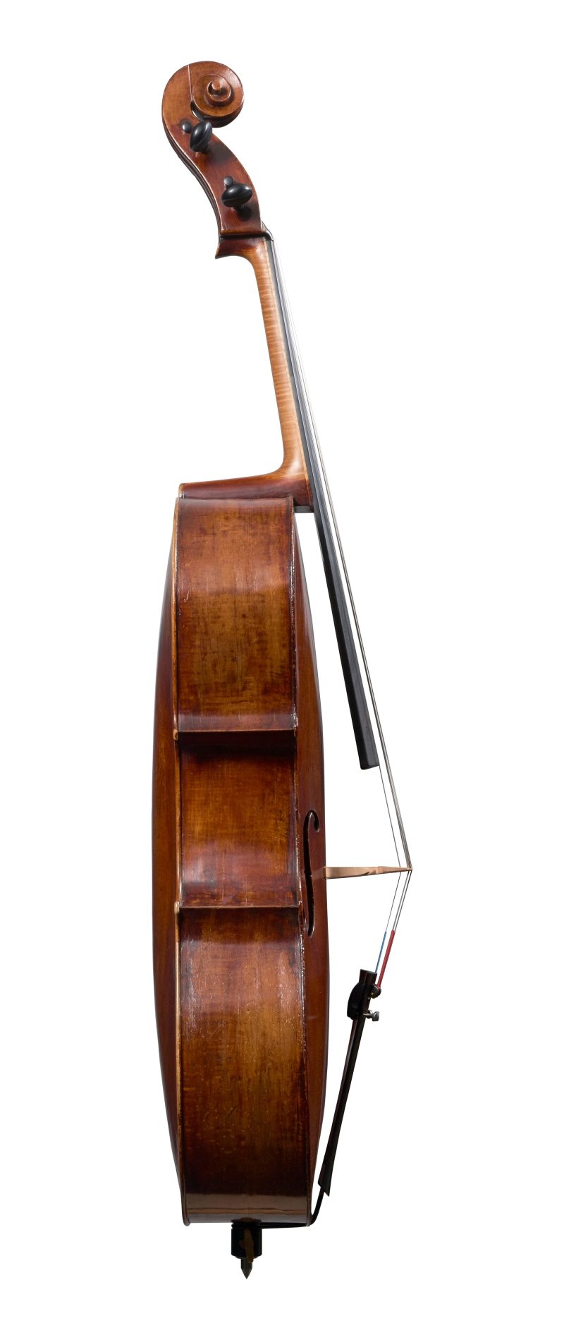 Carlo Antonio Testore Violin | Expert Luthier | Ingles & Hayday